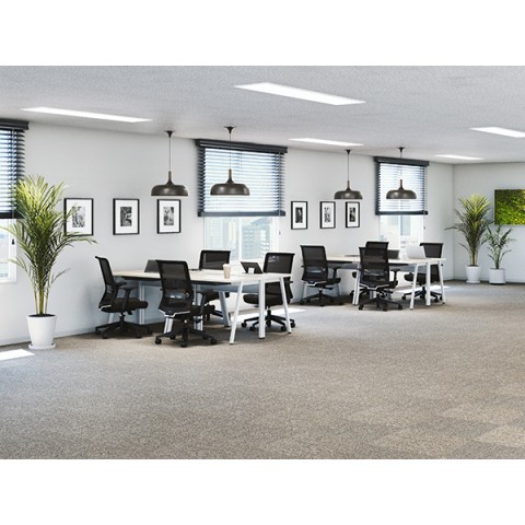 CCR-ET2A303M-WN【送料無料】 | コクヨ ENTRY2通販 - Kagg.jp