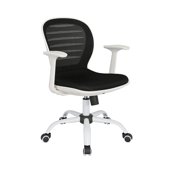 CF-40-A 416209【送料無料】 | カグクロ シフォン通販 - Kagg.jp