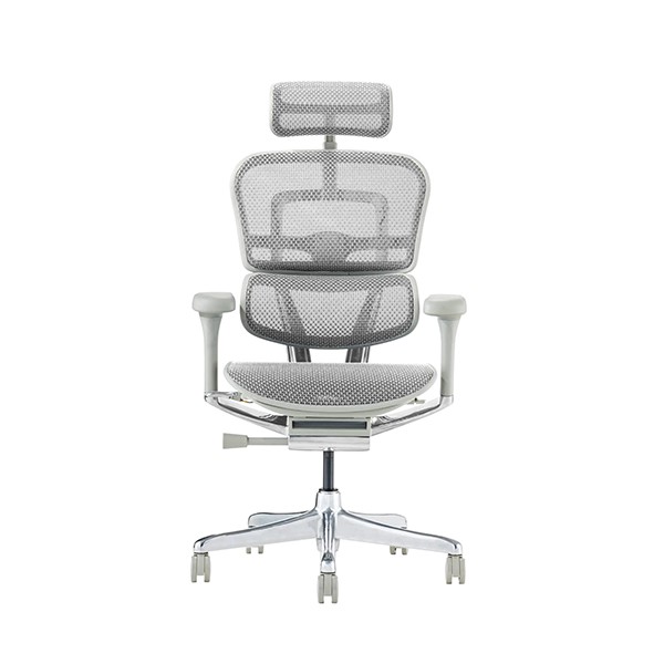 EHP2-HAM-DR-GY-WH【送料無料】 | エルゴヒューマン Ergohuman PRO2通販 - Kagg.jp