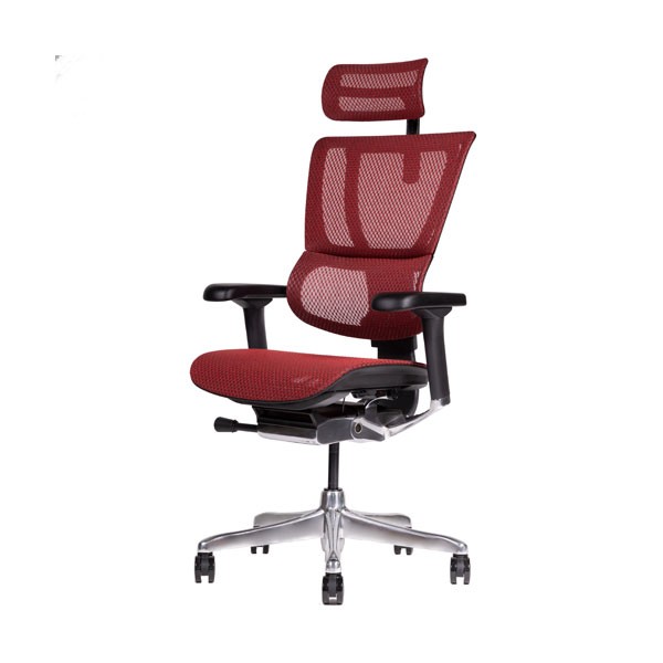 FIT2-HAM-DR-BF-RD【送料無料】 | エルゴヒューマン Ergohuman Fit2通販 - Kagg.jp