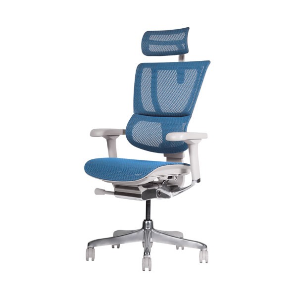 FIT2-HAM-DR-GF-BL【送料無料】 | エルゴヒューマン Ergohuman Fit2通販 - Kagg.jp